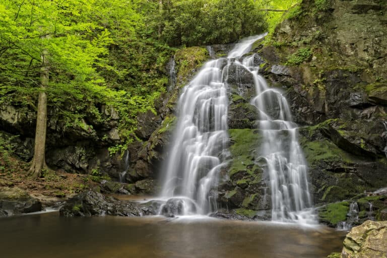 Hidden Smoky Mountain Waterfalls You’ll Want to Find